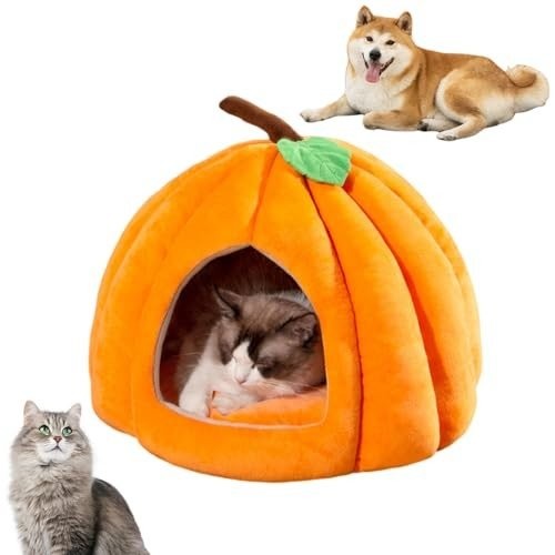 Pumpkin Cat Bed, 2024 New Cat Beds for Indoor Cats, Cute Pumpkin Shape ...