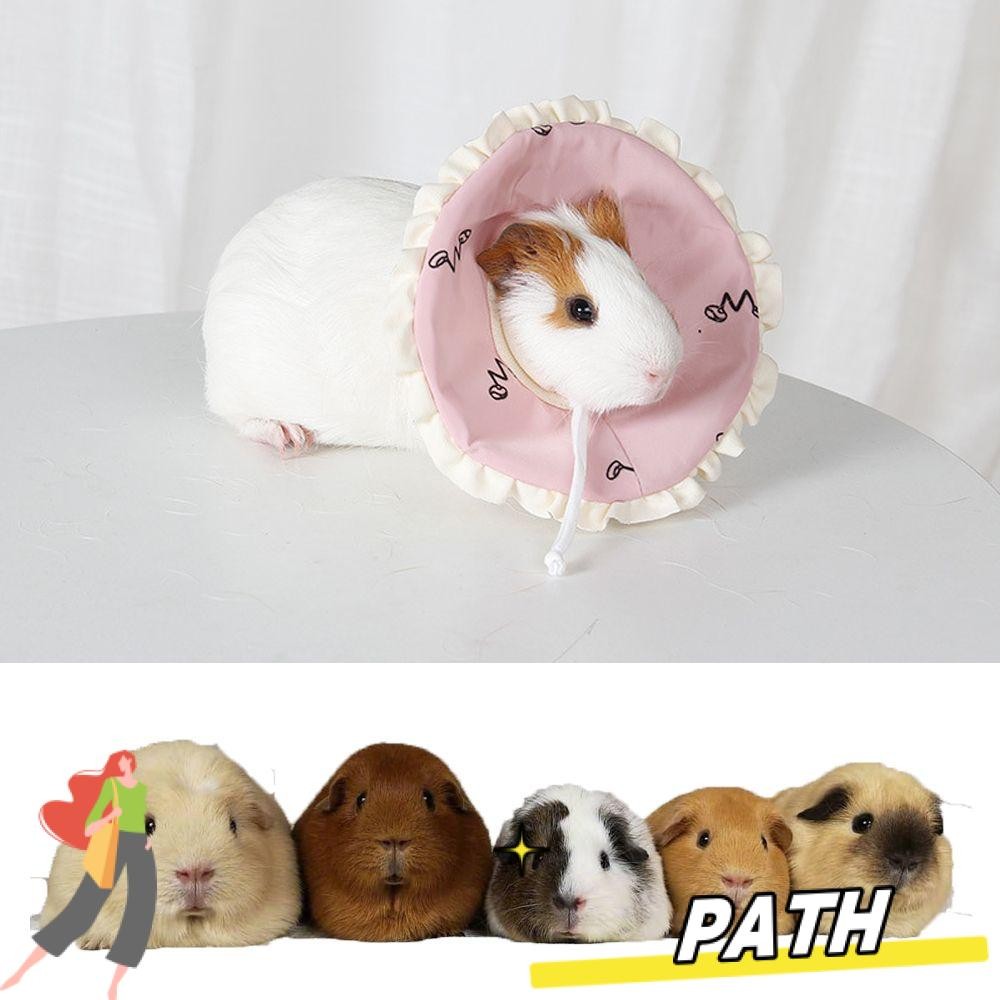 PATH Small Pet Collar Rabbit Wound Healing Elizabethan Collars Cute ...