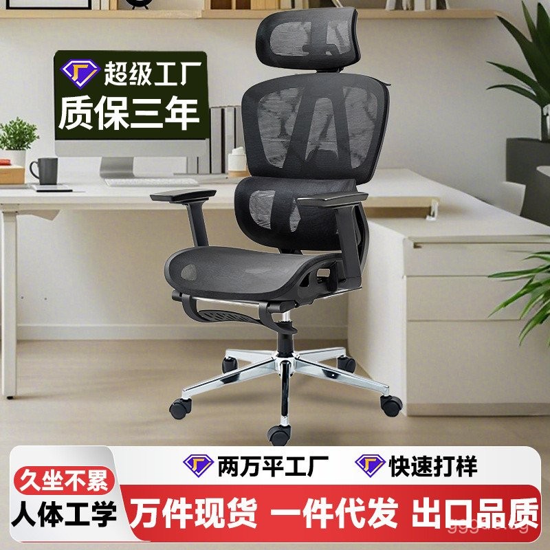 Taichang Ergonomic Chair Adjustable Dual-Back Computer Chair Home ...