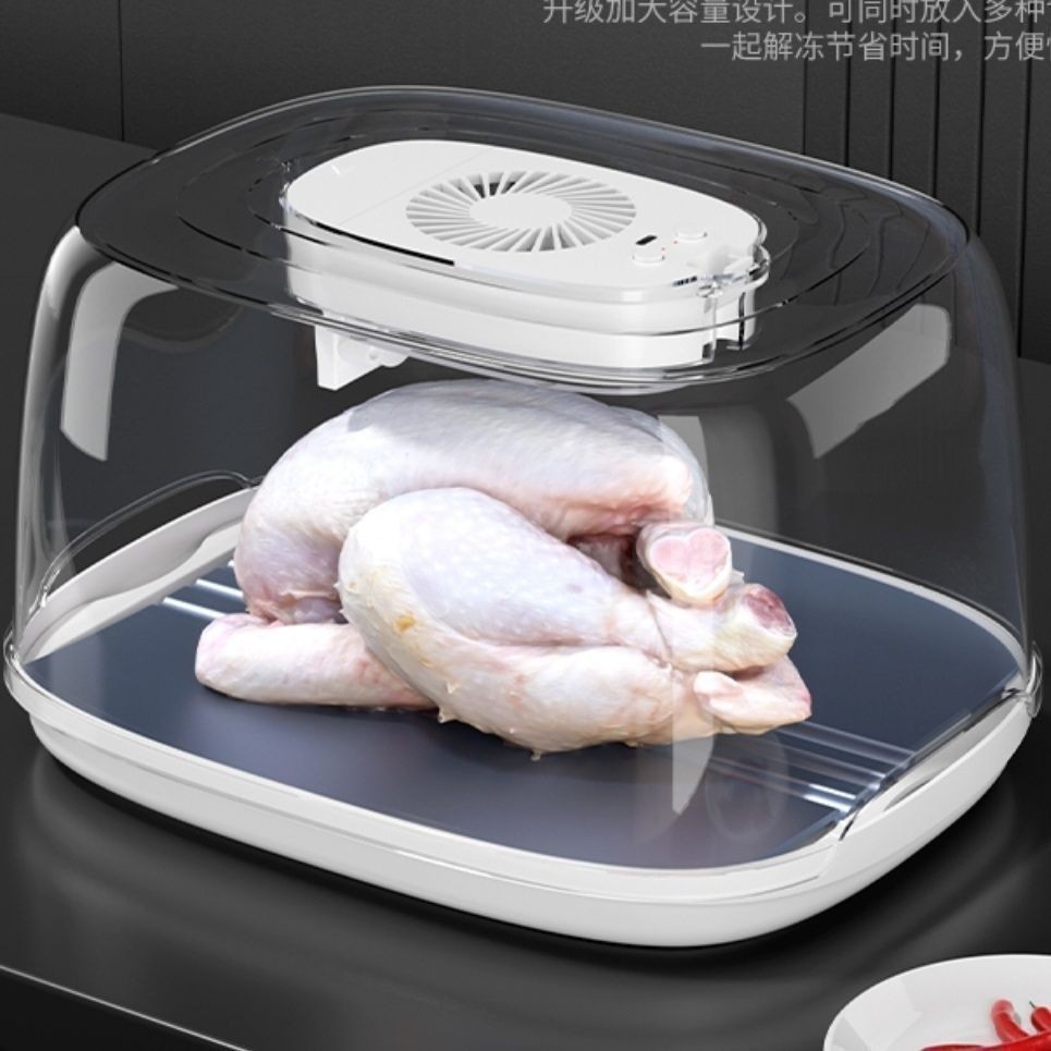 4 in 1 Defroster Box Meat Defroster Machine Fast Food Thawing Box USB ...