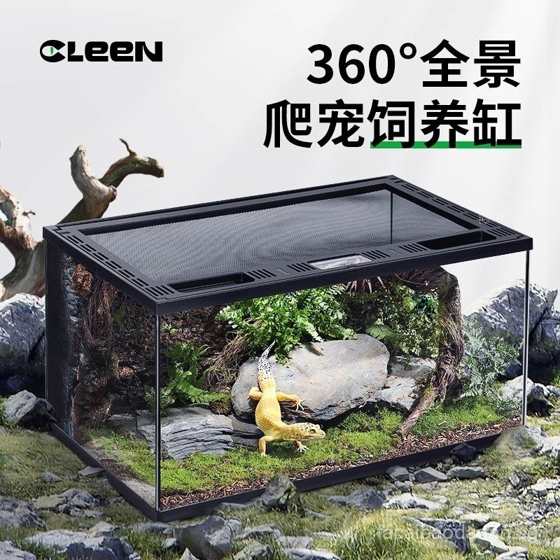 Its Scale Climbing Pet Feeding Box Guard Palace Lizard Ceratophrys ...