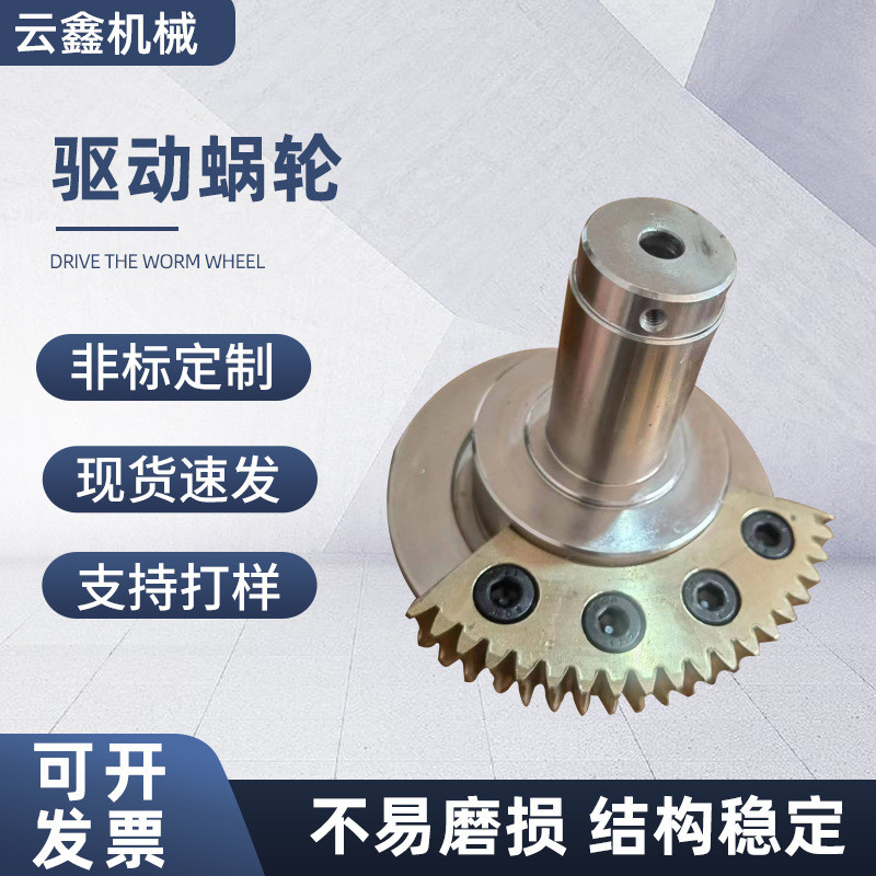 Metal Non-standard Fan-shaped Worm Gear Small Modulus Worm Gear and ...