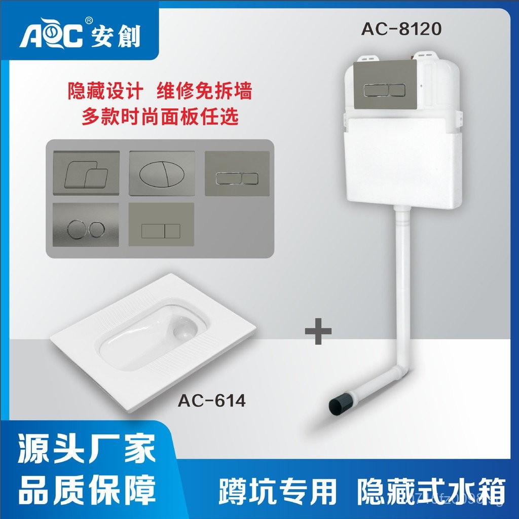 Squatting Toilet Large Toilet Bowl Water Tank Flush Tank In-Wall ...