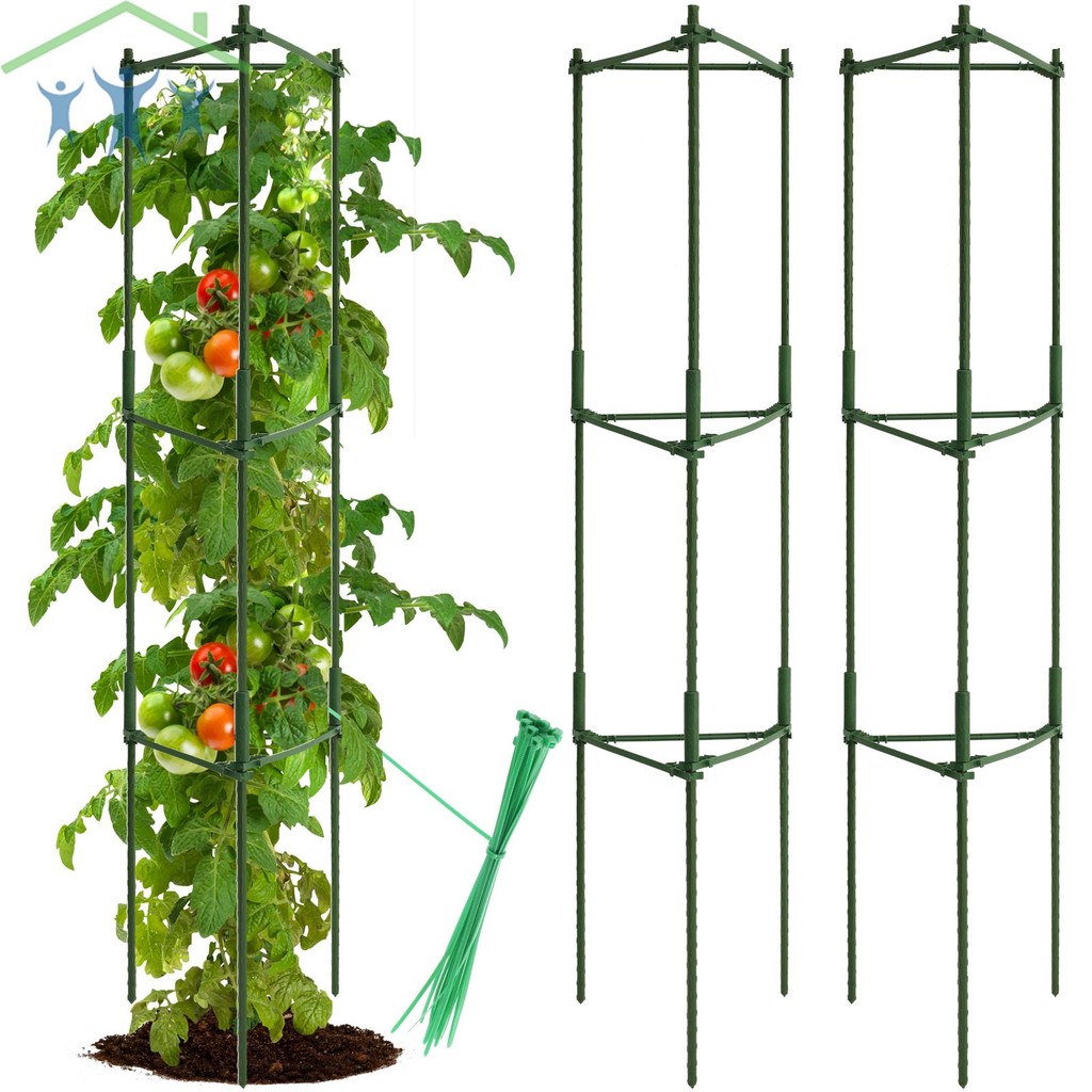 Tomato Cage Tomatoes Trellis Assembled Tomato Flora Cage Garden ...