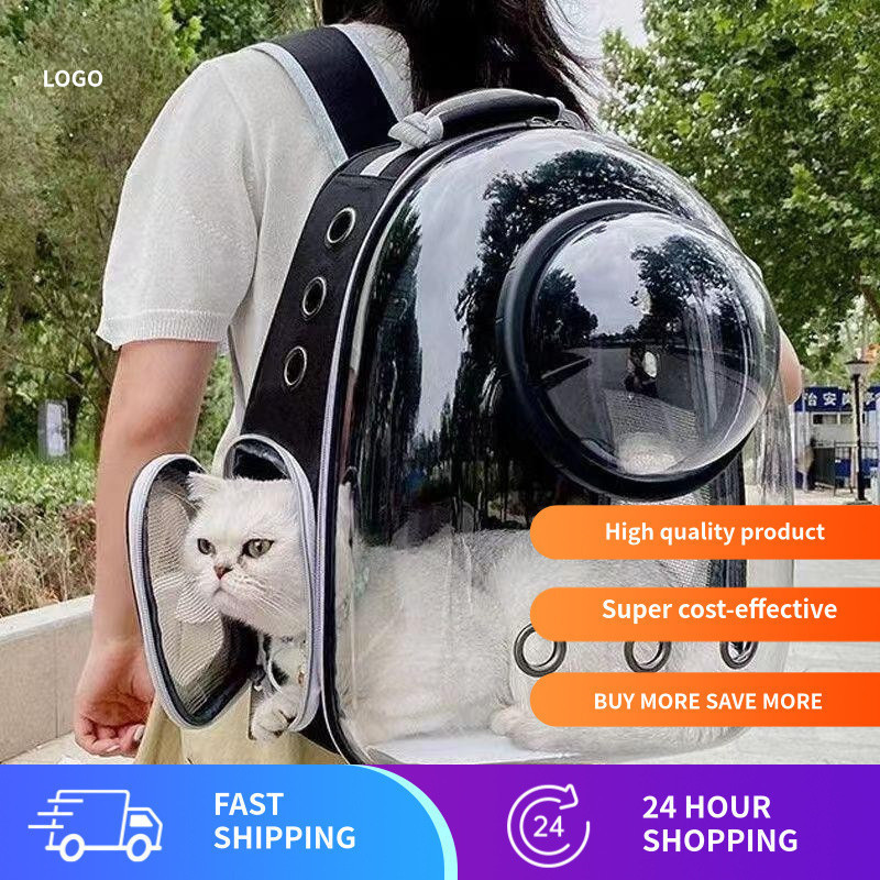 Sg SELLER Influencer New Style Transparent Space Capsule Backpack Mi ...