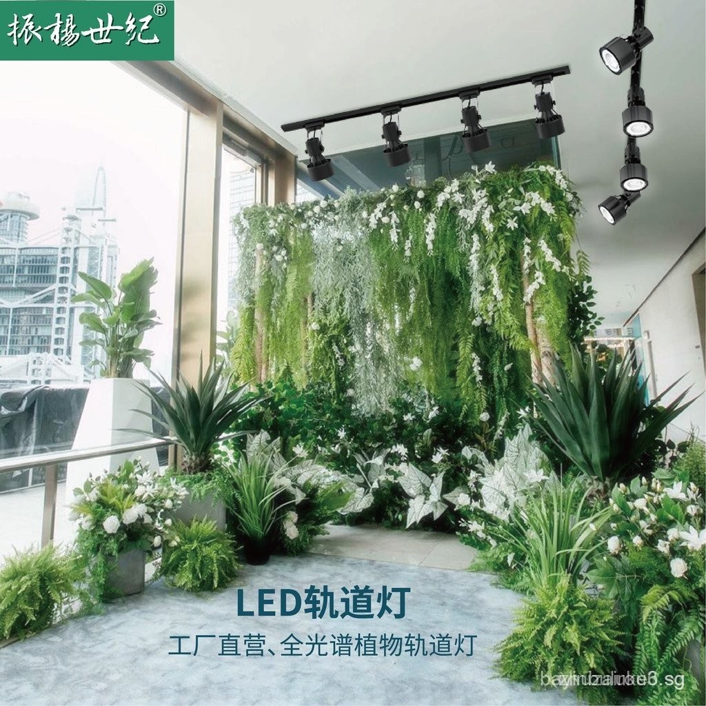 Zhenyang Century Indoor Plant Grow Light30W Full Spectrum Sunlight ...