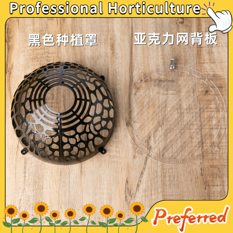 20CM Staghorn Fern Planting Cover Phalaenopsis Planting Cover Water ...