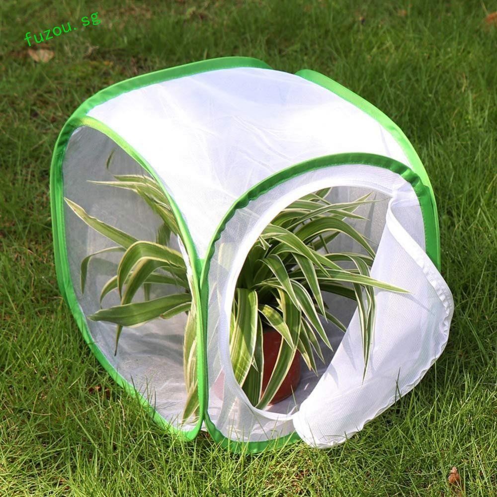 FUZOU Insect Cage Cocoon Silkworm Hatch Housing Enclosure Foldable ...