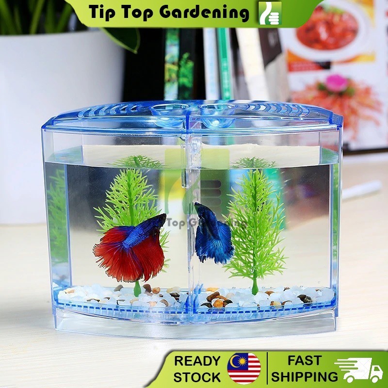READY STOCK BETTA FISH AQUARIUM FISH TANK ACRYLIC ISOLATION BOX DOUBLE ...
