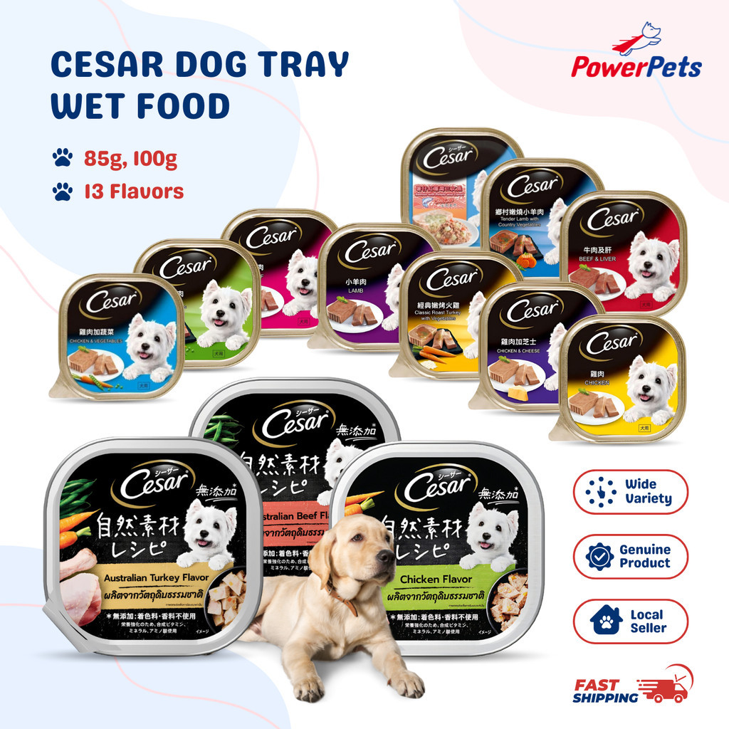 Cesar Wet Food for Dogs 85g/100g - Beef, Lamb, Chicken, Turkey, Veg ...