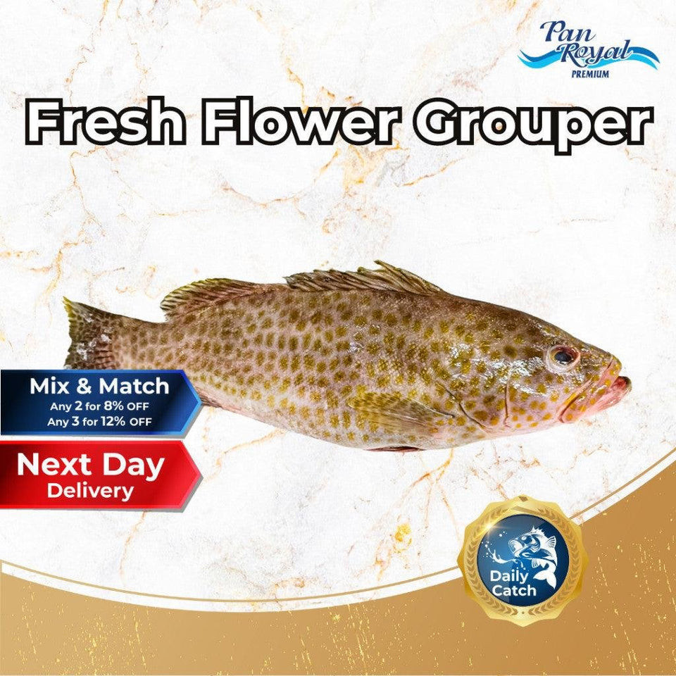 [PAN ROYAL] Fresh Flower Grouper (400 - 500g +/-) | Shopee Singapore
