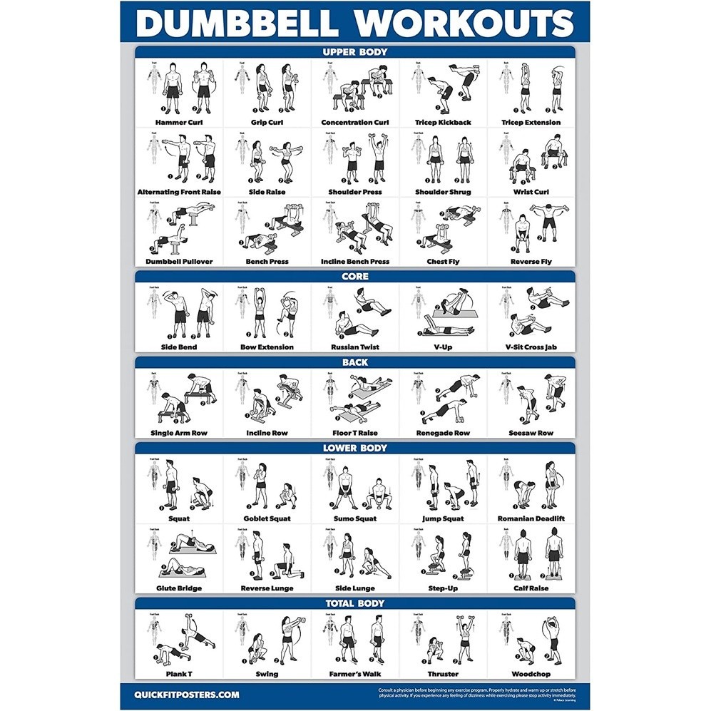 Dumbbell Workout Exercise Poster Free Weight Body Building Guide Home ...