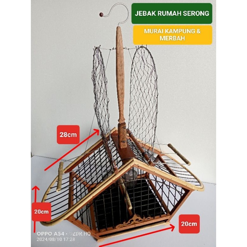 (SHELL House TRAP: MURAI KAMPUNG & MERBAH) Bird trap/house trap/lekir ...