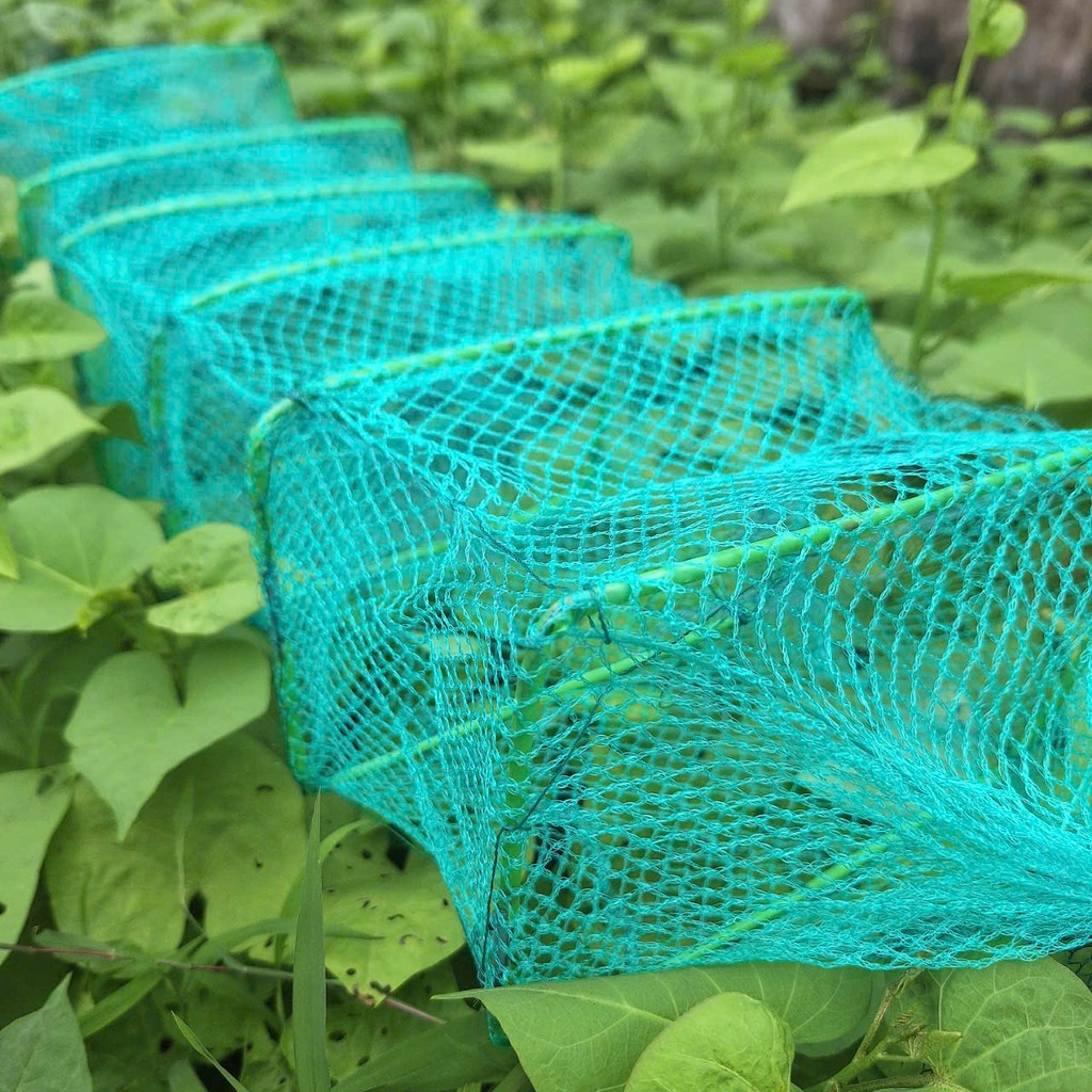 [GIVEA BAIT] Type 1 mini bagua cage net specializes in trapping cats ...