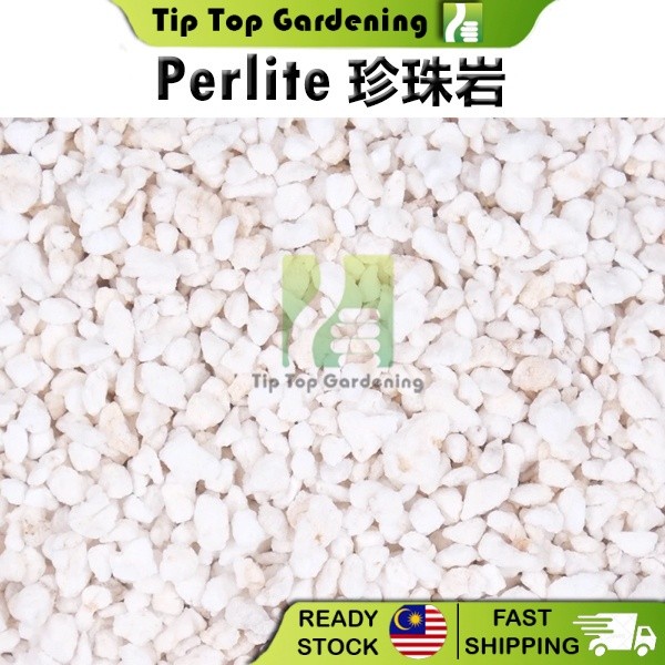 TIPTOP 3-6mm Perlite for Cactus and Succulent (Natural Expanded ...