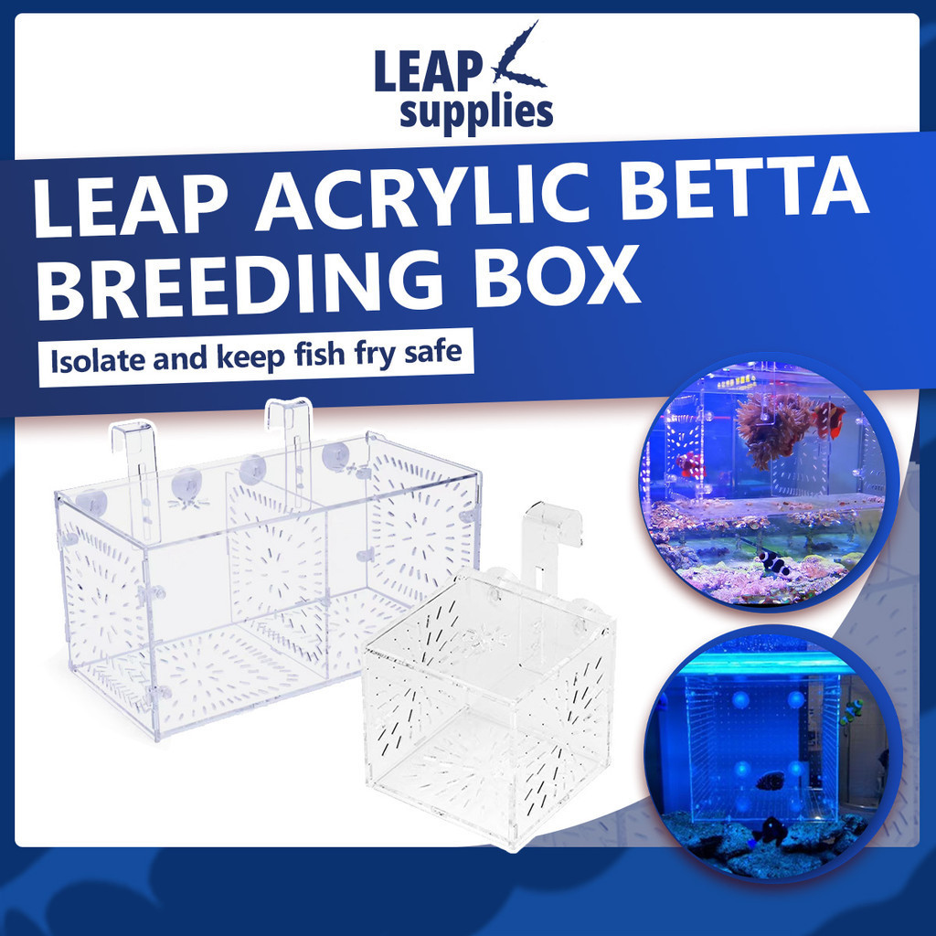 LEAP Acrylic Betta Breeding Box | Fish Fry Fish Baby Isolation Tank ...