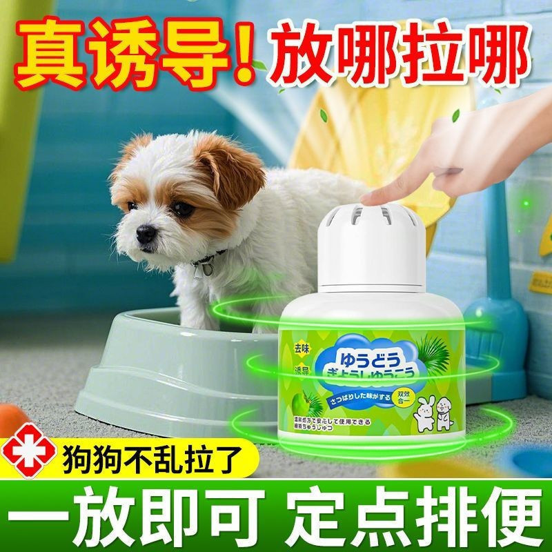 Dogs Go to the Toilet Fixed-Point Defecation Inducer Anti-Dog Piss ...