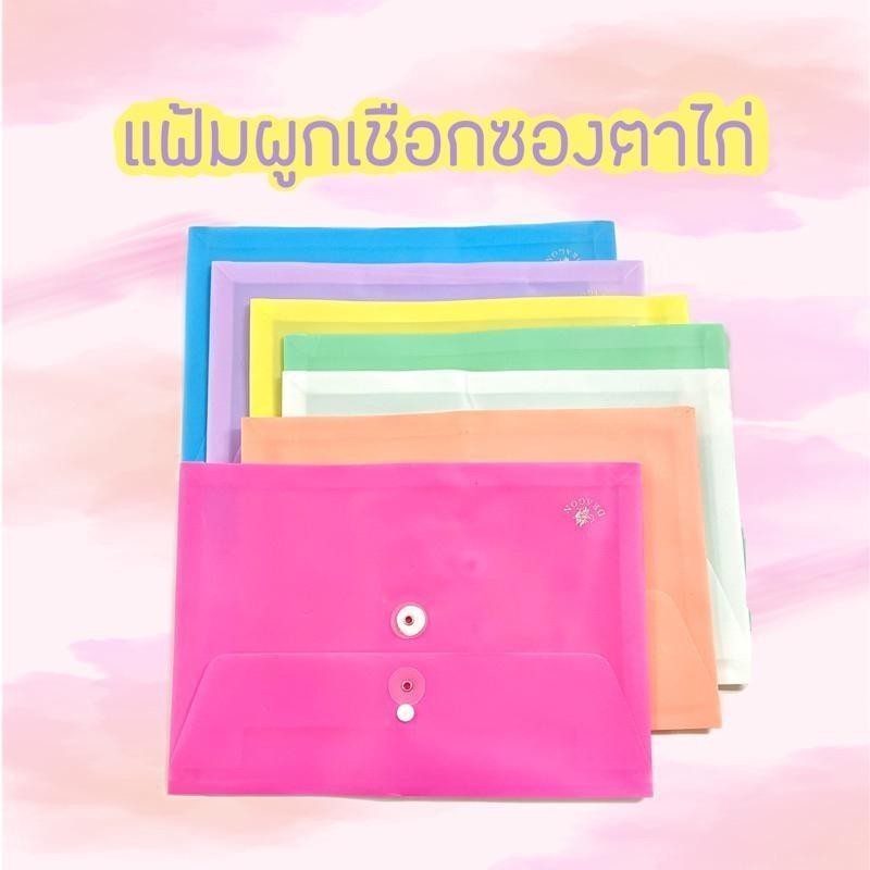 A4 Folder Binding Eyelet Envelope Pastel Color Lifted A Dozen (12 Pcs ...