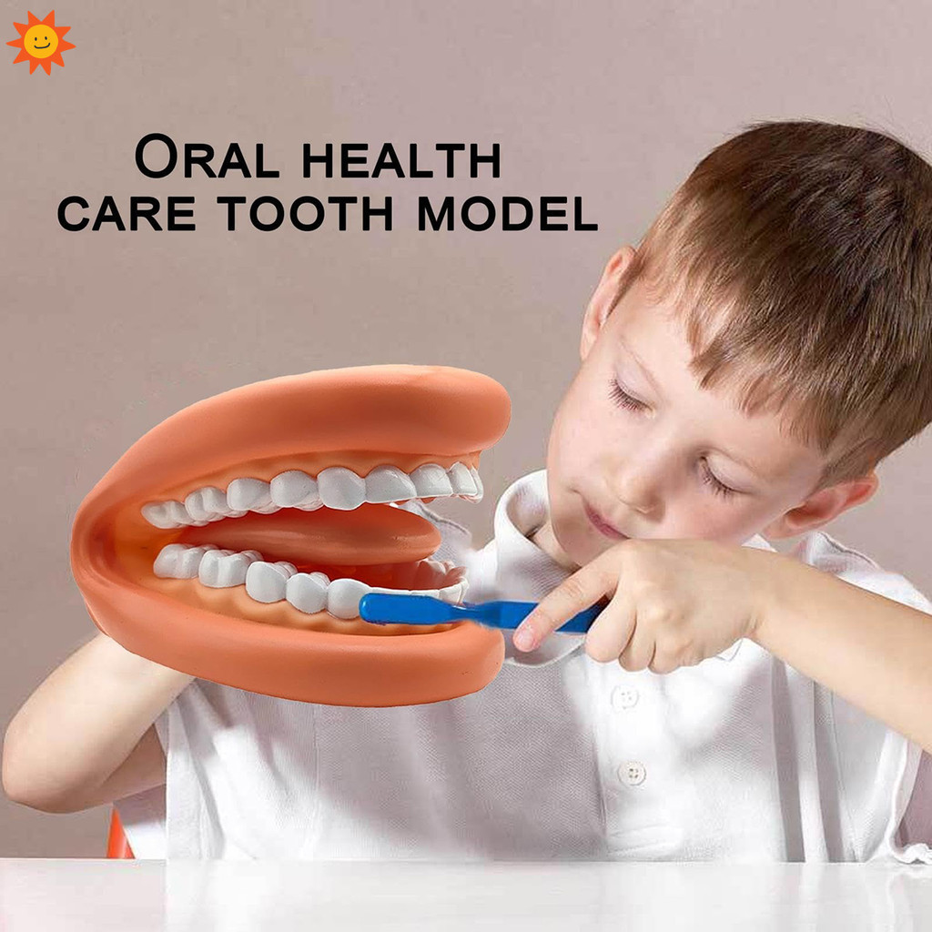 Mouth Model Puppets, 1 Set, Teeth, Tongue, Hand Puppet with Toothbrush ...