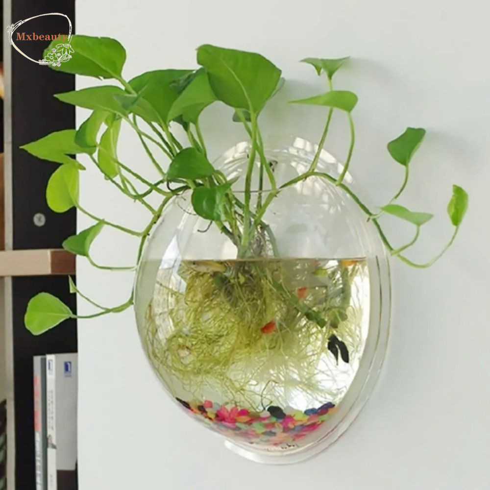 MXBEAUTY Wall-Hanging Fish Bowl, Hemisphere Shape Transparent Wall ...