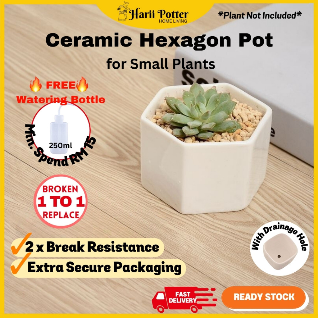 Aesthetic Hexagon Ceramic Pot For Succulent Plant Small Flower Pot Pasu ...