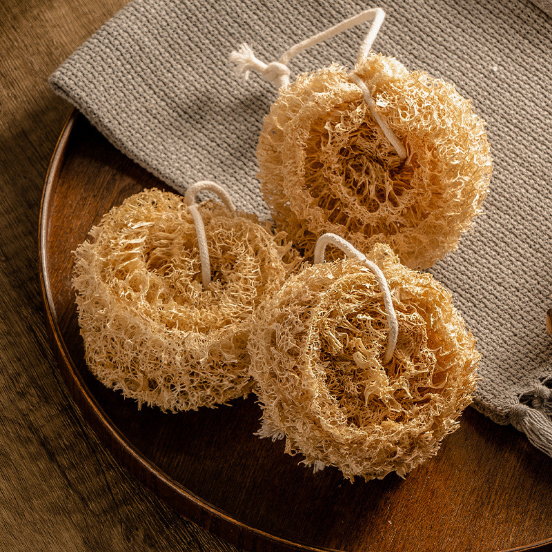 Natural Loofah Core Non-oil Dishwashing Brush Pot Brush Nonstick Loofah ...