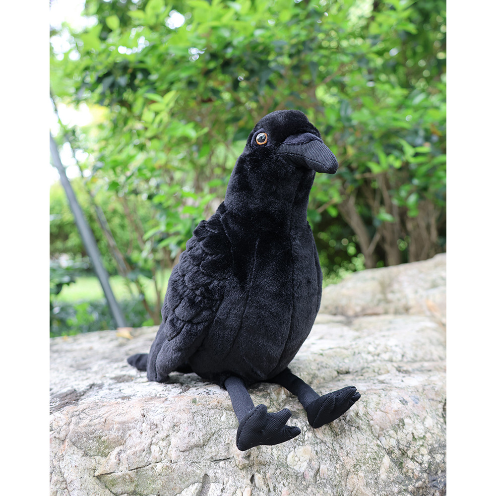 22cm Crow Plush Toys Lifelike Black Birds Raven Stuffed Animals Toy ...
