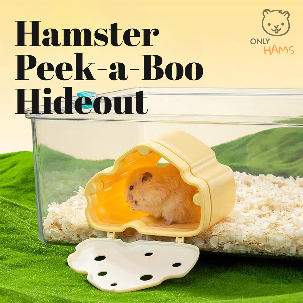 [SG Ready Stock] Hamster Peek-a-Boo Hideout House Magnetic Cheese ...