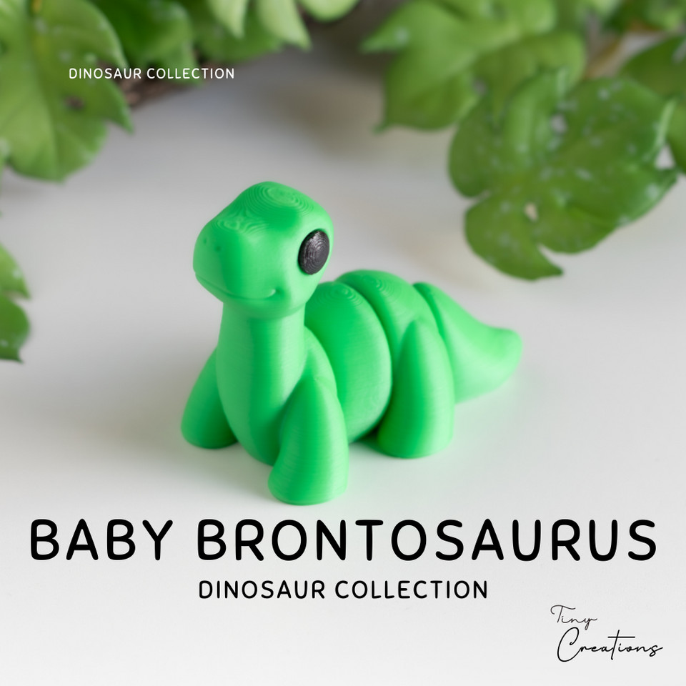 Dinosaur Collection Keychain | Collectible Fidget Toy Children ADHD ...