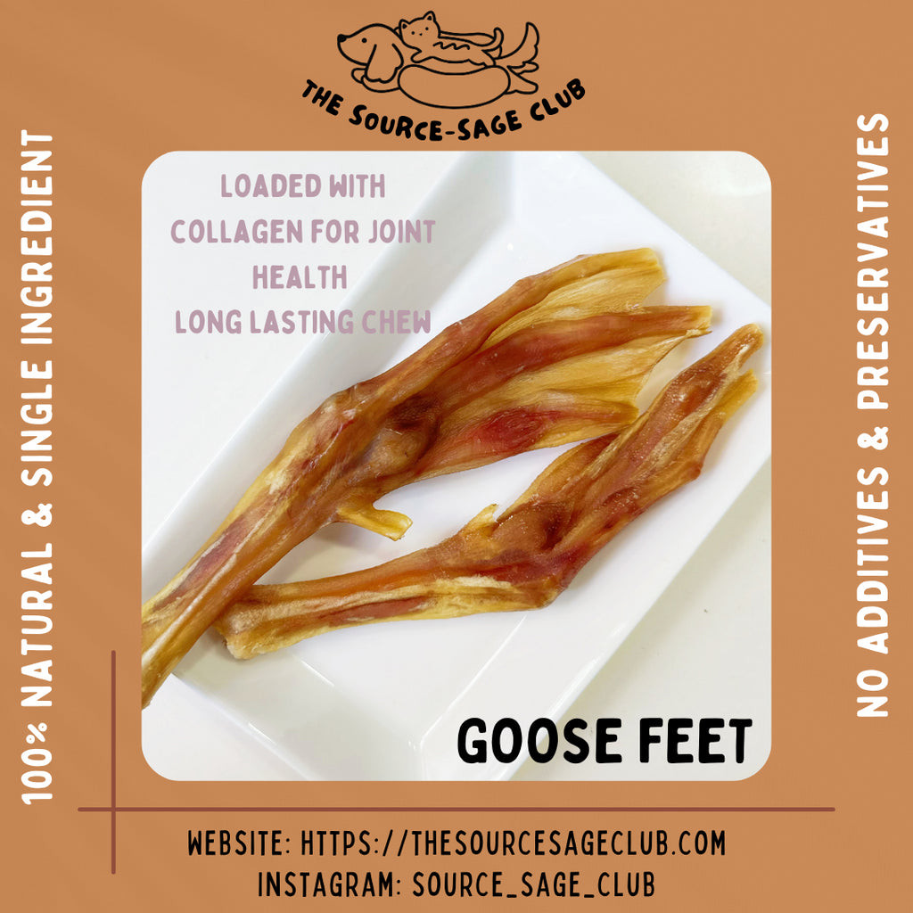 Air Dried Goose Feet (dog dental chew dog treats) | Shopee Singapore