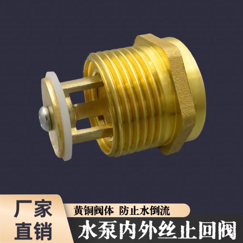 Check Valve Inner Outer All Copper Water Pump Dedicated Check Valve ...