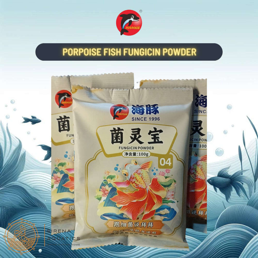 Porpoise Fungicin Powder Anti Fungal and Bacterial Medication for ...