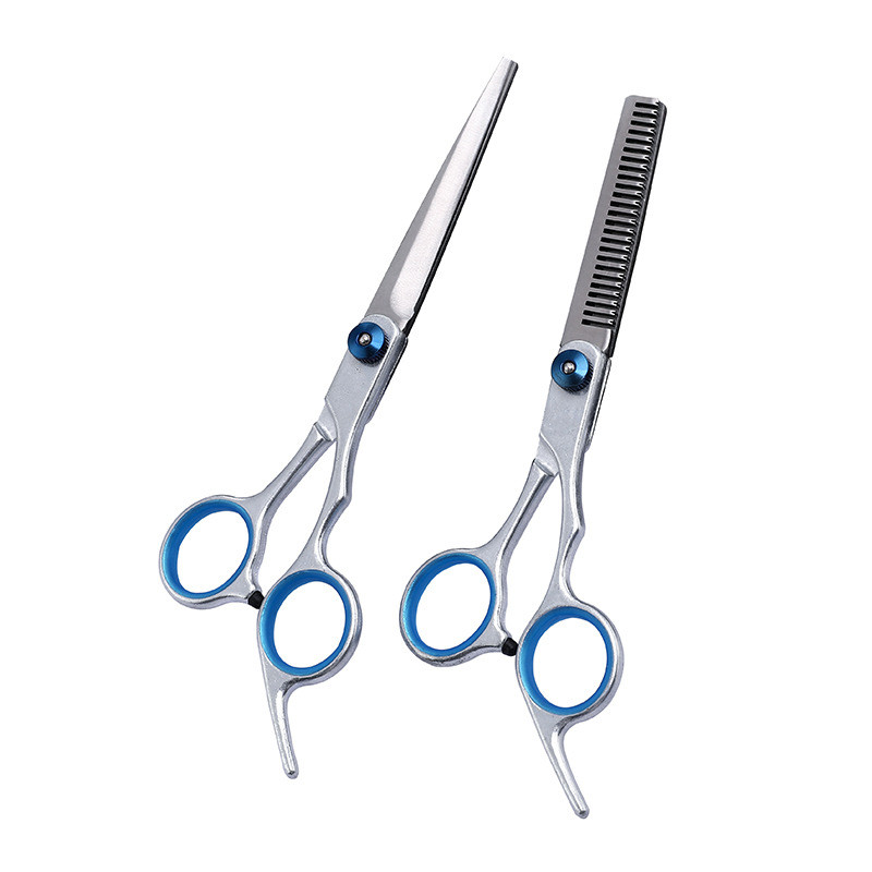6'' Entry-Level Professional Hair Scissors Thinning Cutting Shears ...