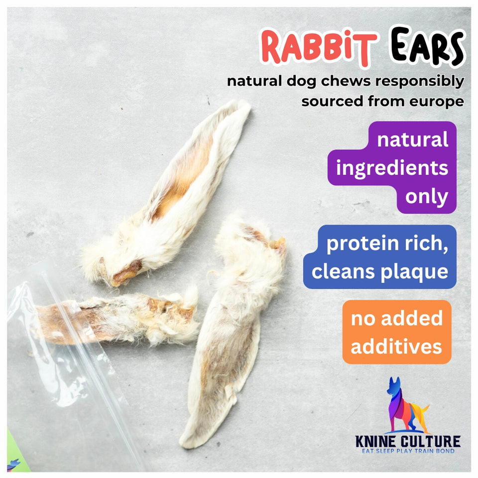 Rabbit Ears With Fur [Natural Dewormer for Dogs, single ingredient dog ...