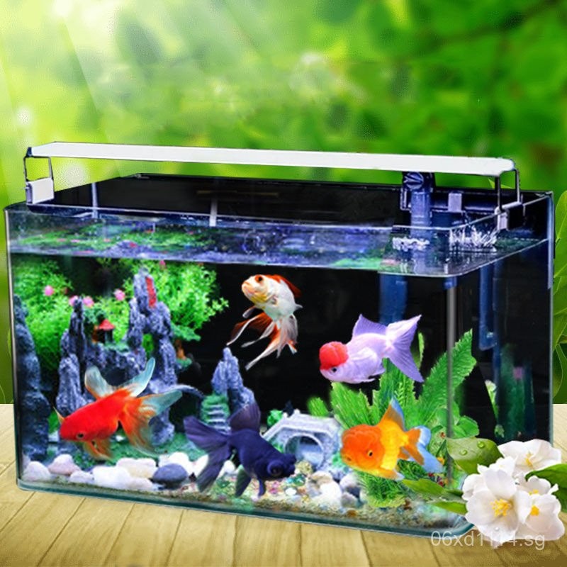 Desktop Glass Bare Turtle Tank Landscaping Living Room Ultra White Tank ...