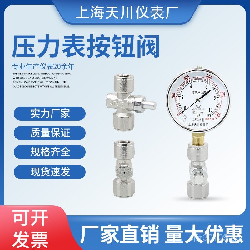 Button Valve Diaphragm Gauge Over Switch Valve Natural Gas Micro ...