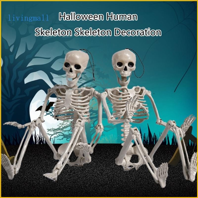 LIVI Life Size Skeleton Poseable Full Body Halloween Decoration with ...