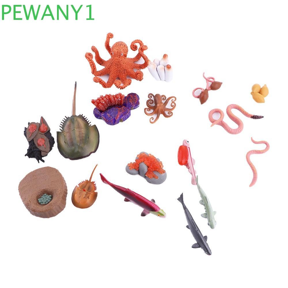 PEWANY1 Realistic Life Cycle Science Sea Life Earthworm King Crab ...