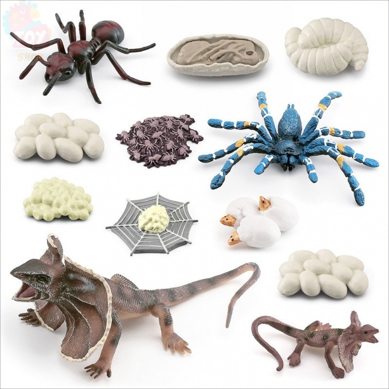 Children Science Education Cognitive Toys Simulation Insect Animal ...