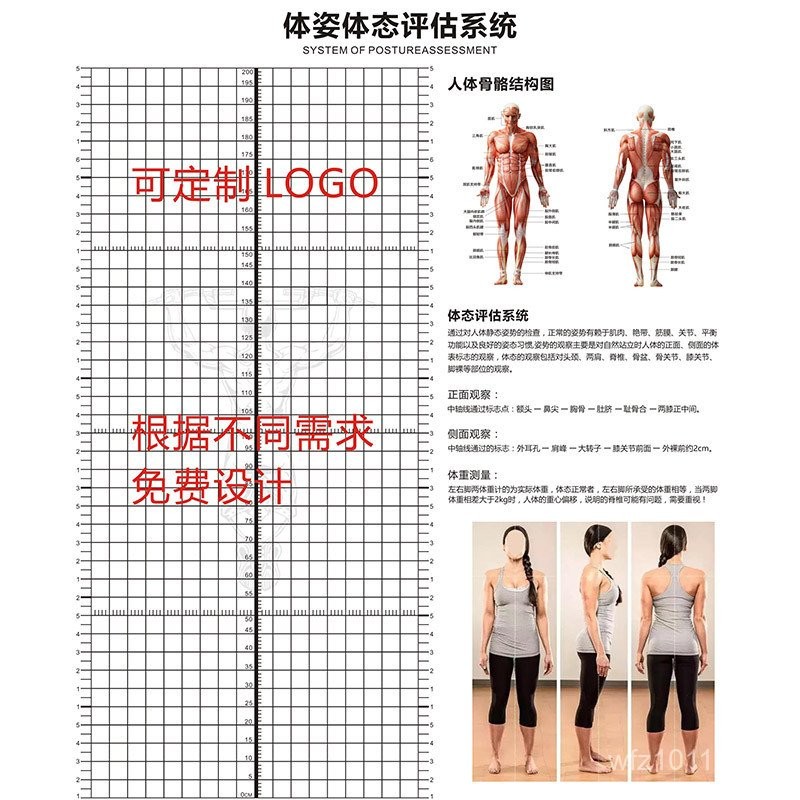 Personal Training Figure Posture Wallpaper Studio Gym Mural Human Body ...