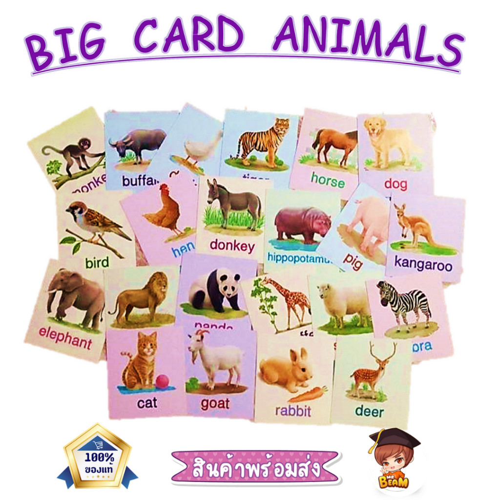 Big Card Wild Animals Flash Cards Animal Word Development flashcard ...