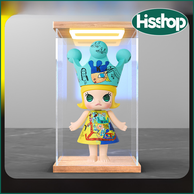 Display box, MEGA ROYAL MOLLY 400% Display Case,clear acrylic box ...