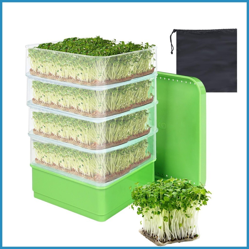 Tray Sprouter Sprouting Kit Bean Growth Germination Trays Wheatgrass ...