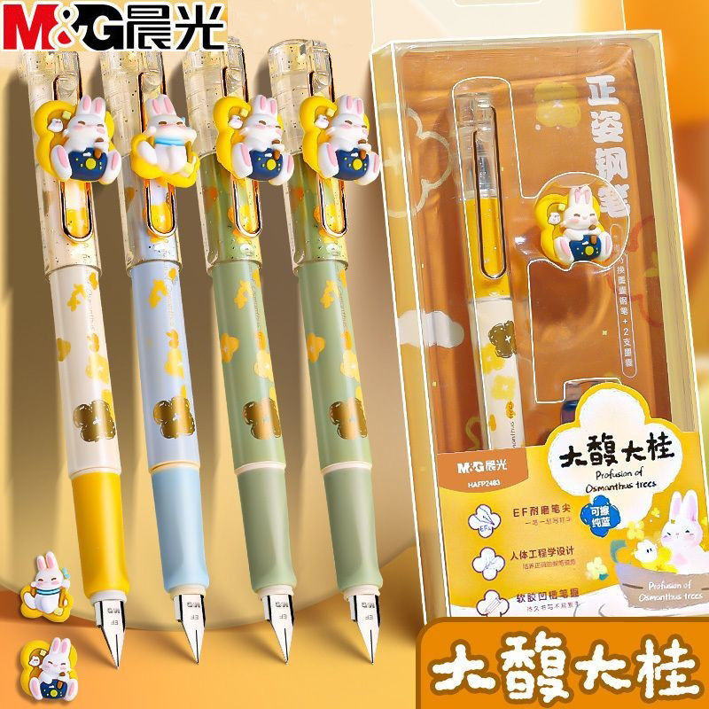 Chenguang Erasable Fountain Pen Elementary School Students Third Grade ...