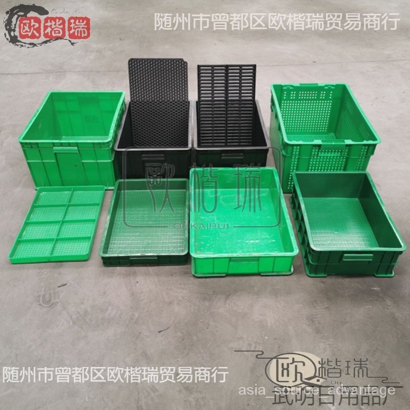 Sprout Seedling Tray Peanut Sprout Hydroponic Box Hydroponic Peanut ...