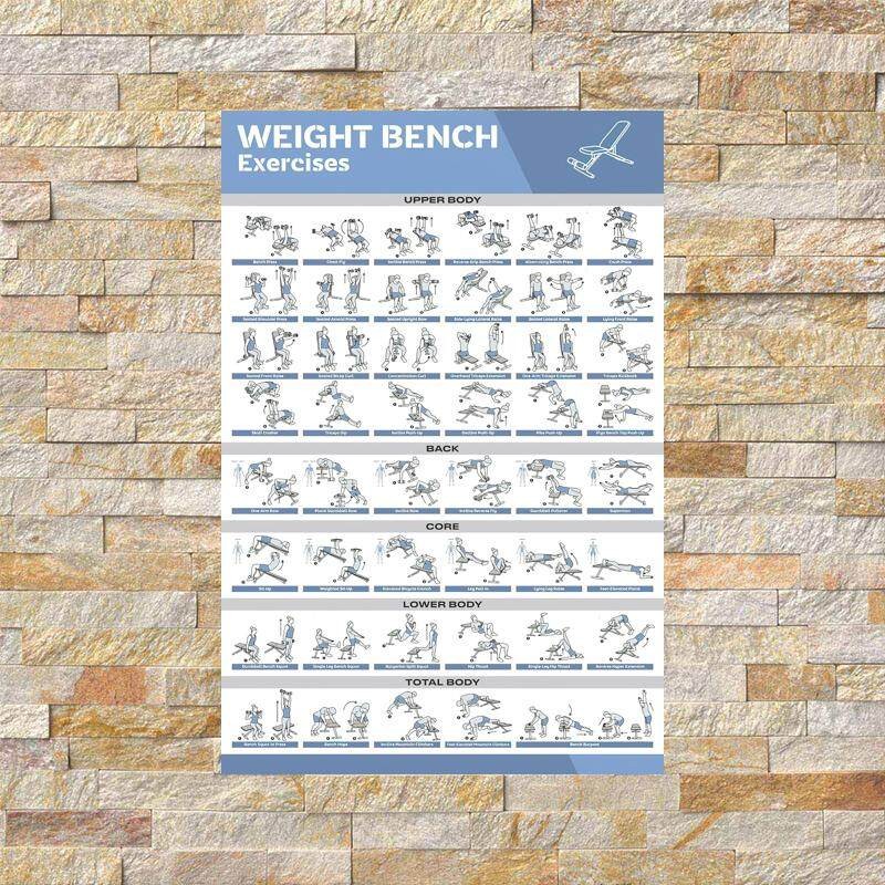 Weight Bench Exercise Posters for Home Gym Exercise Posters for Full ...