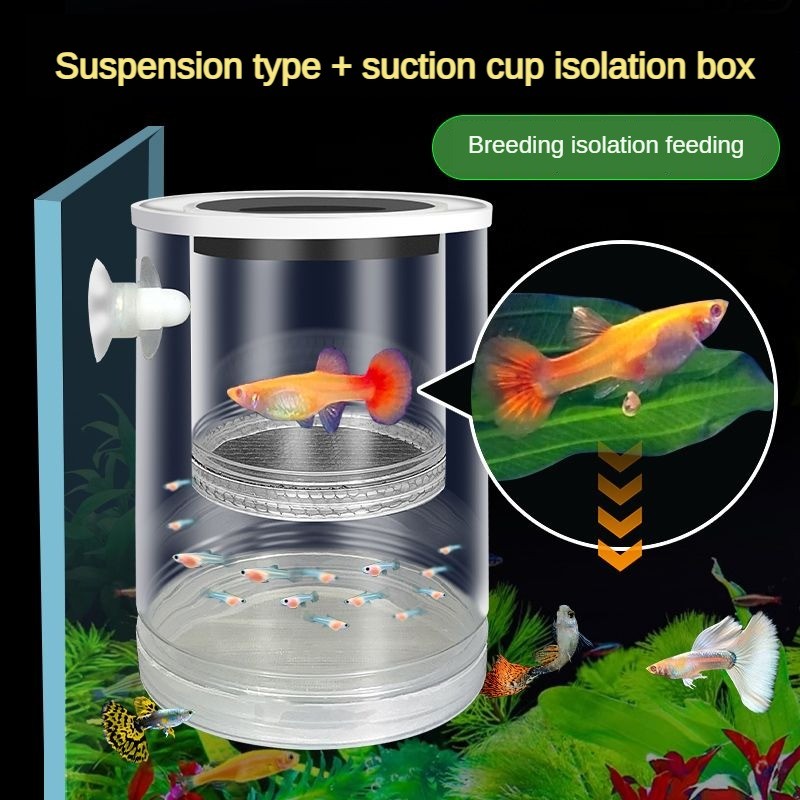Fish Tank Suspension Type Reproduction Isolation Box Baby Fry Delivery ...