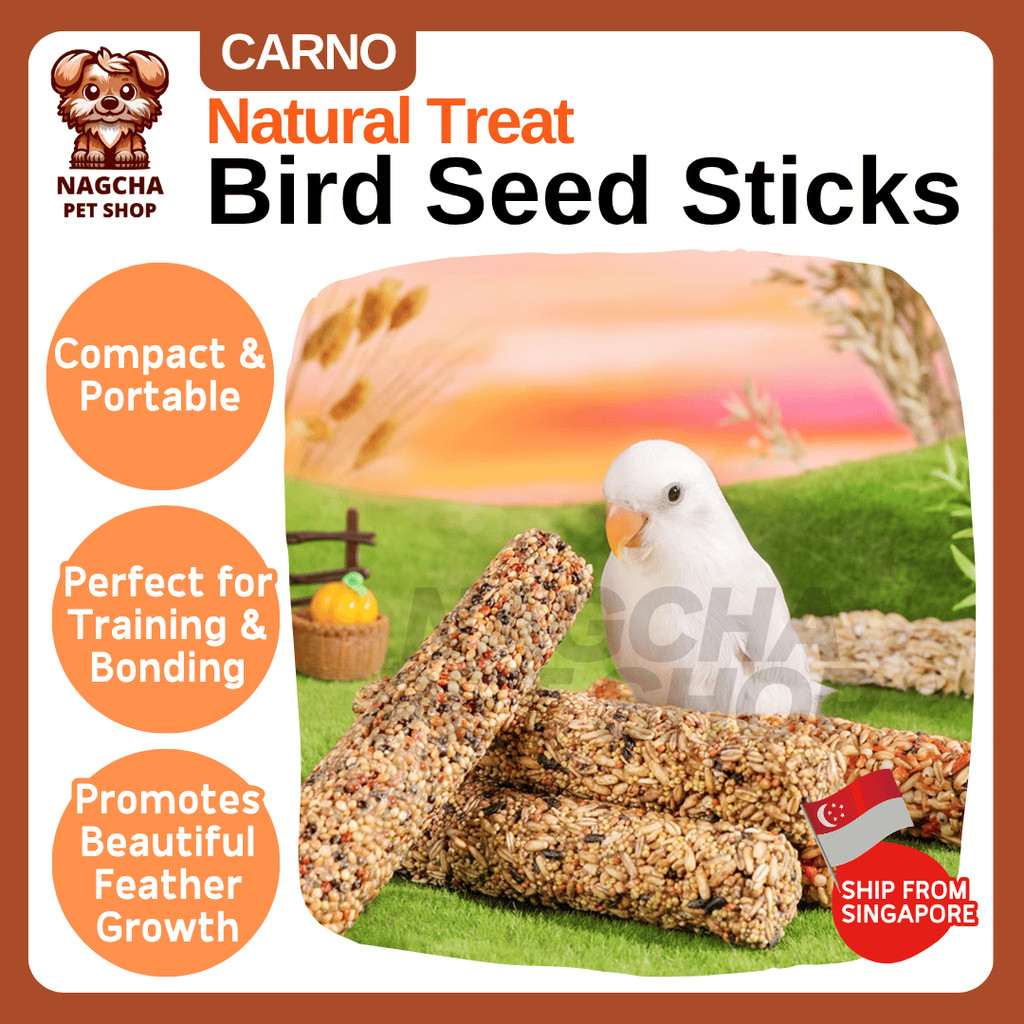 Bird Seed Sticks Natural Treat Parrots Cockatiels Lovebirds – Nutrient ...