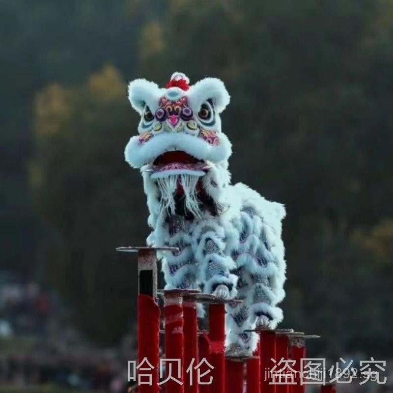 Lion Dance Set for Two Adults, Australian Wool Lion, Standard Lion Head ...