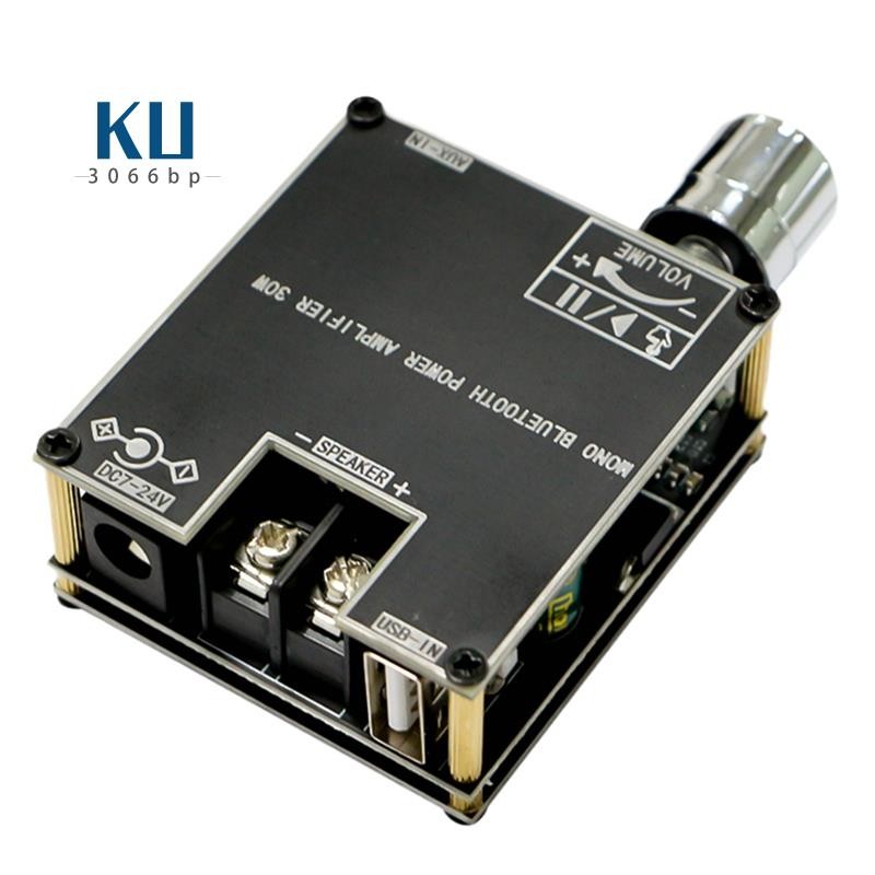 ZK301B Mono 30W BT5.3 Digital Audio Amplifier Module Supports True ...